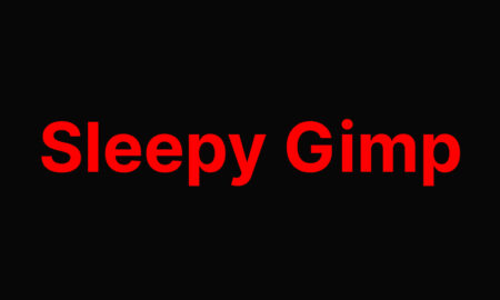 Sleepy Gimp Comics verstehen | Ein Blick in die Subkultur - Munichtag